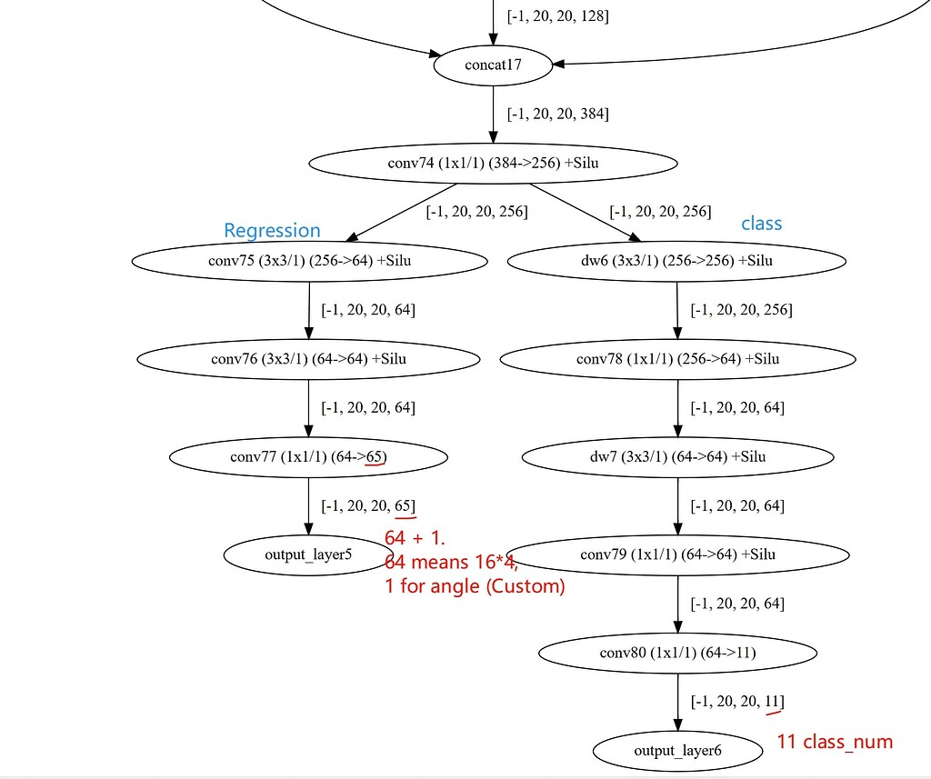 Unable to optimize customized/modified yolov11 with additional output layer - General Discussion ...