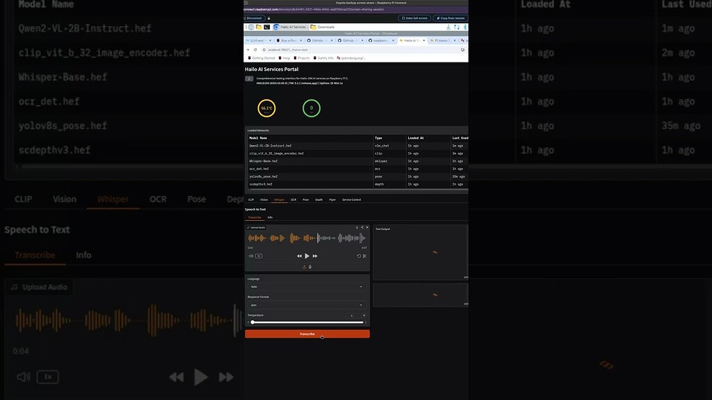 Hailo-10H: successfully loading *6* services as hot, available API's ...